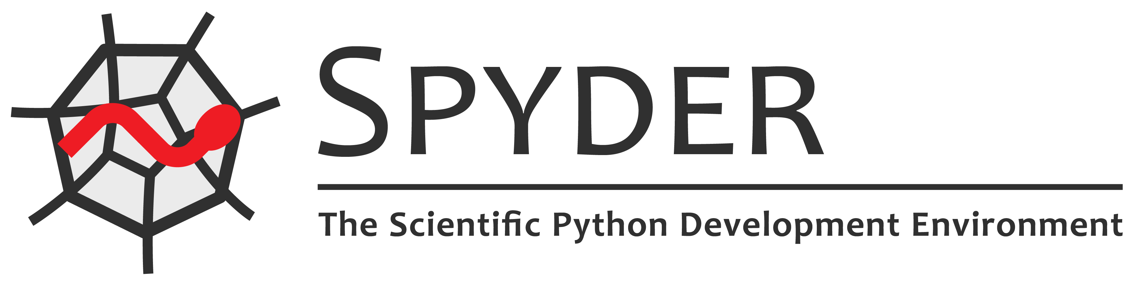 Spyder DESOSA 2020
